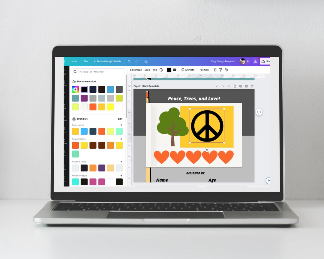 Flag Design Activity Template and Lesson Plan for English, ESL, Canva ...