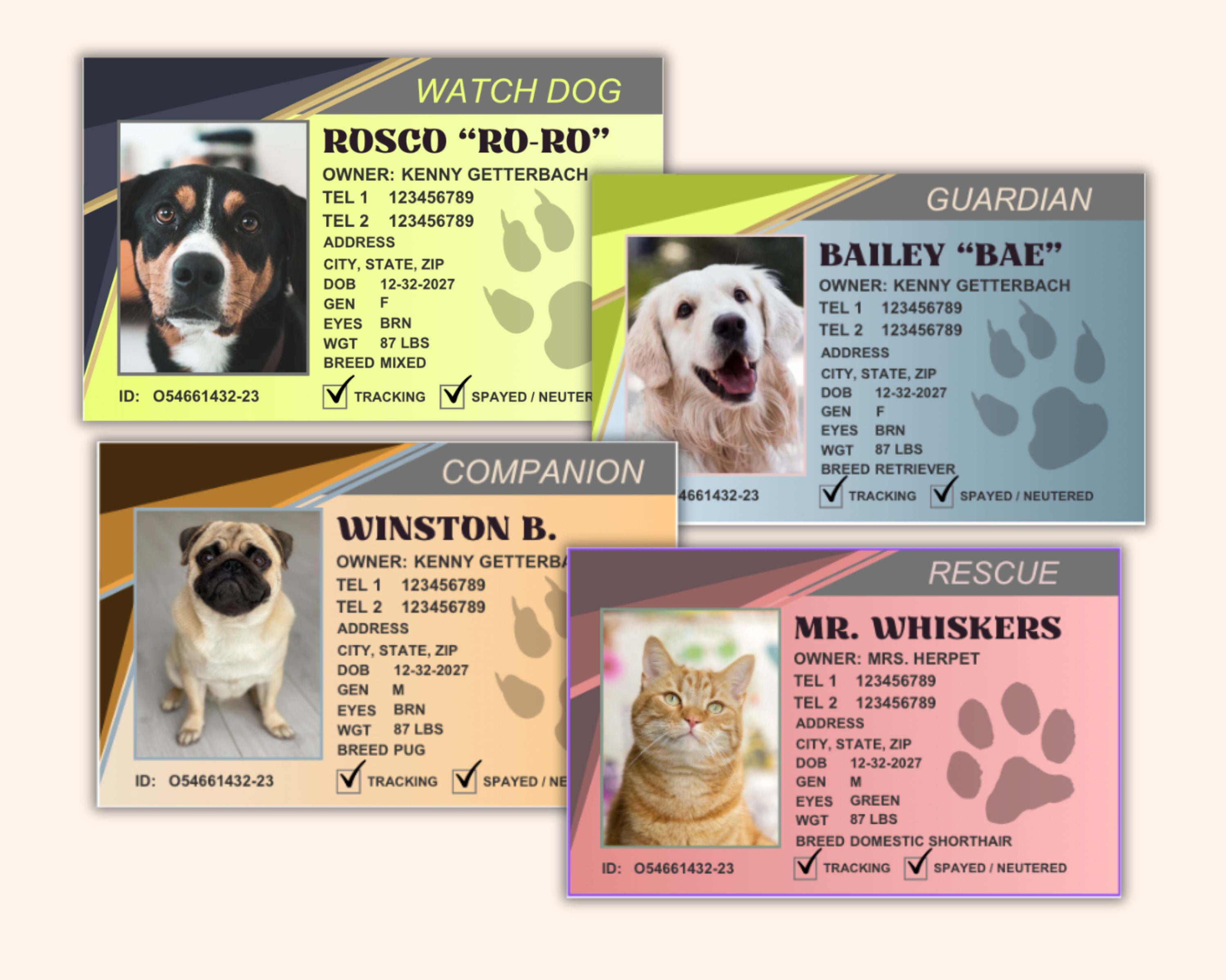 DIY Pet ID Card Template: Custom Dog & Cat Identification (canva) - Etsy