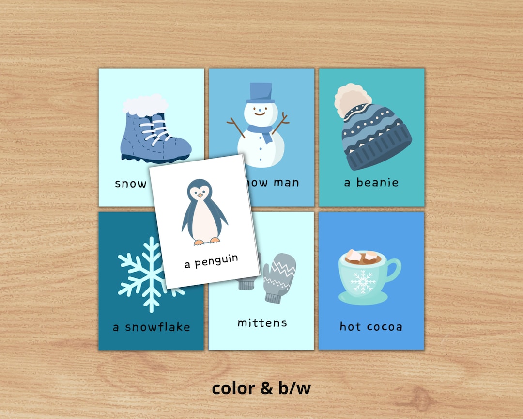 Winter Flashcards Vocabulary Cards for Games, Memory, Charades, and ...