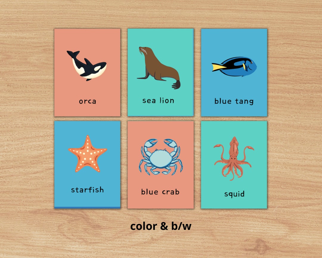 Printable Sea Animals Vocabulary Flashcards PDF, 32 Oceanography ...