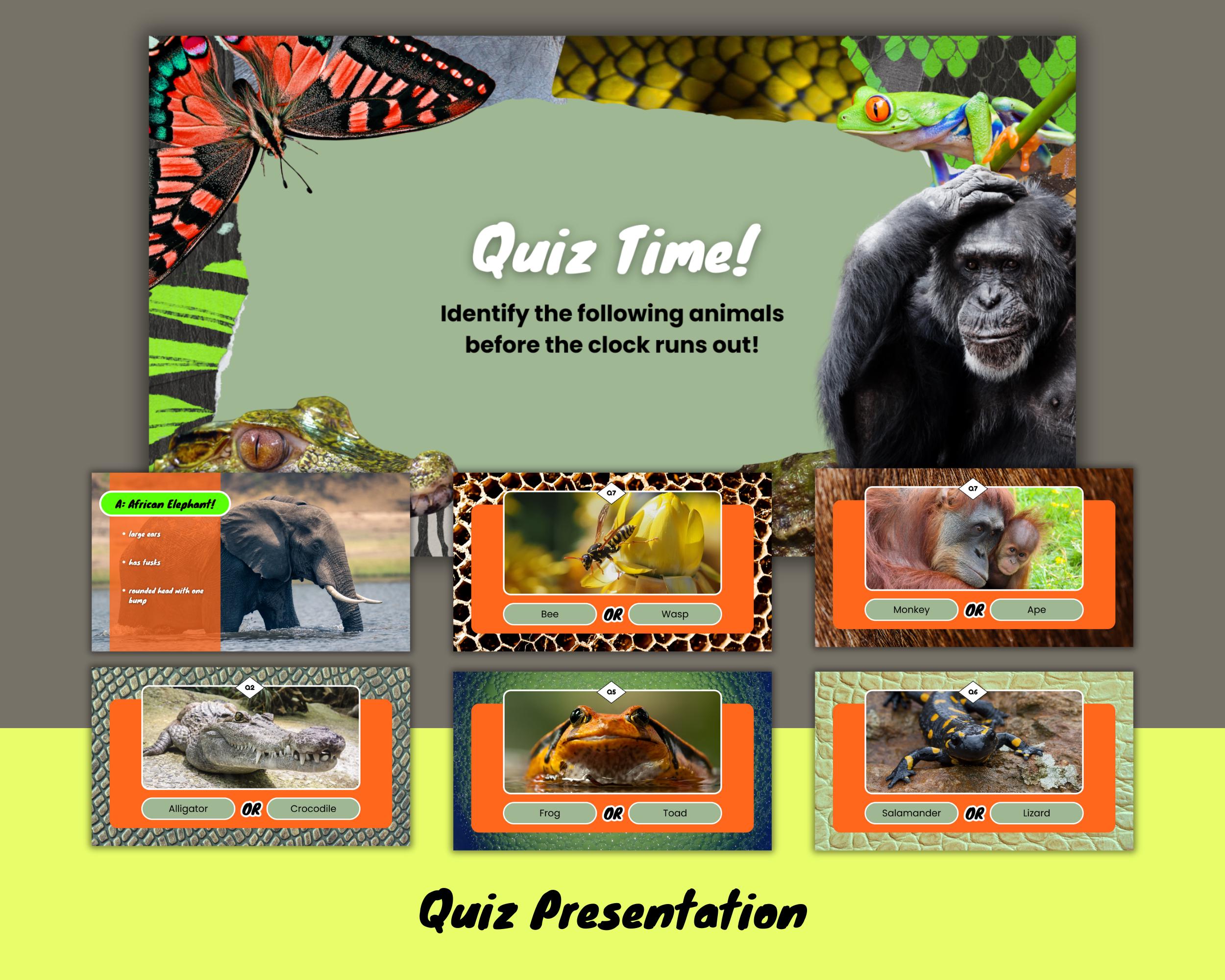 What's the Difference Between Similar Animals Presentation, Quiz, and ...