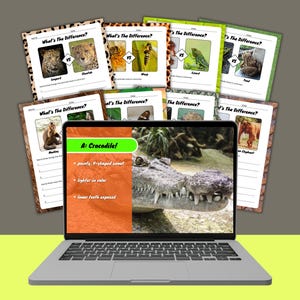 What's the Difference Between Similar Animals Presentation, Quiz, and ...