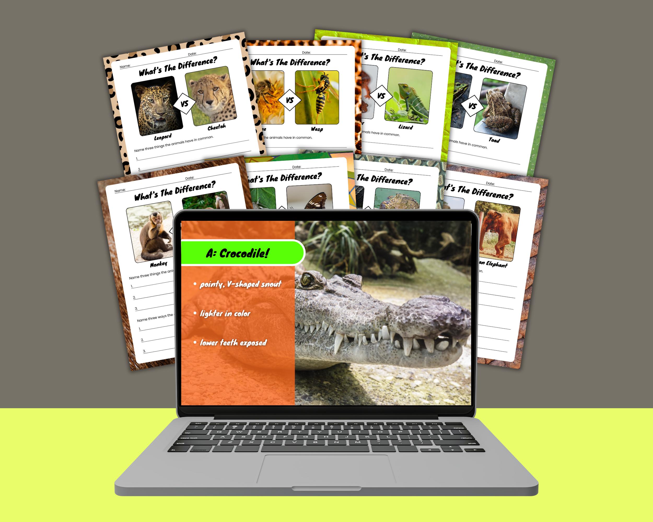 What's the Difference Between Similar Animals Presentation, Quiz, and ...