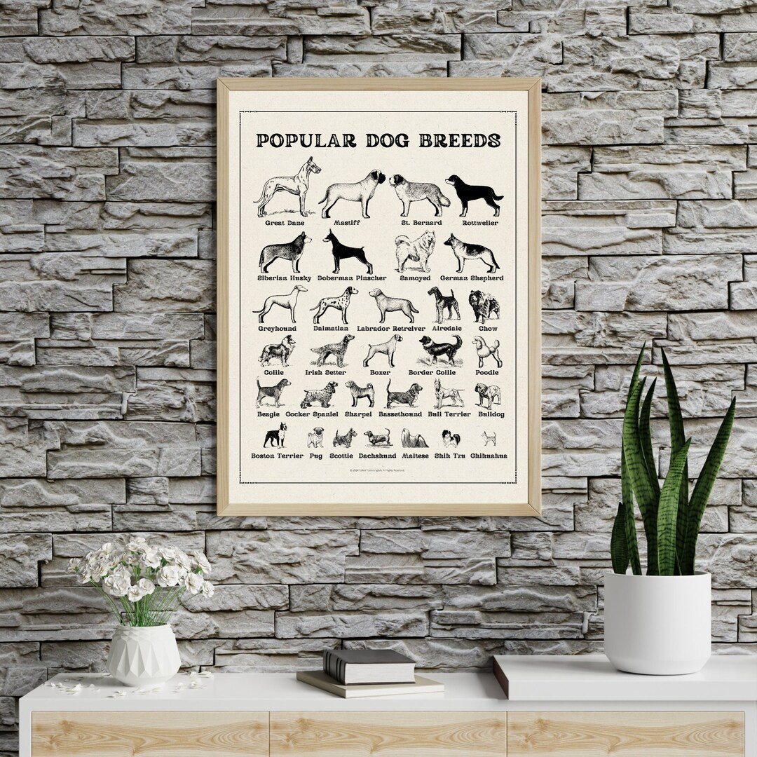 Vintage Dog Breeds Art Print: Hand-drawn Dogs Poster (digital PDF) - Etsy