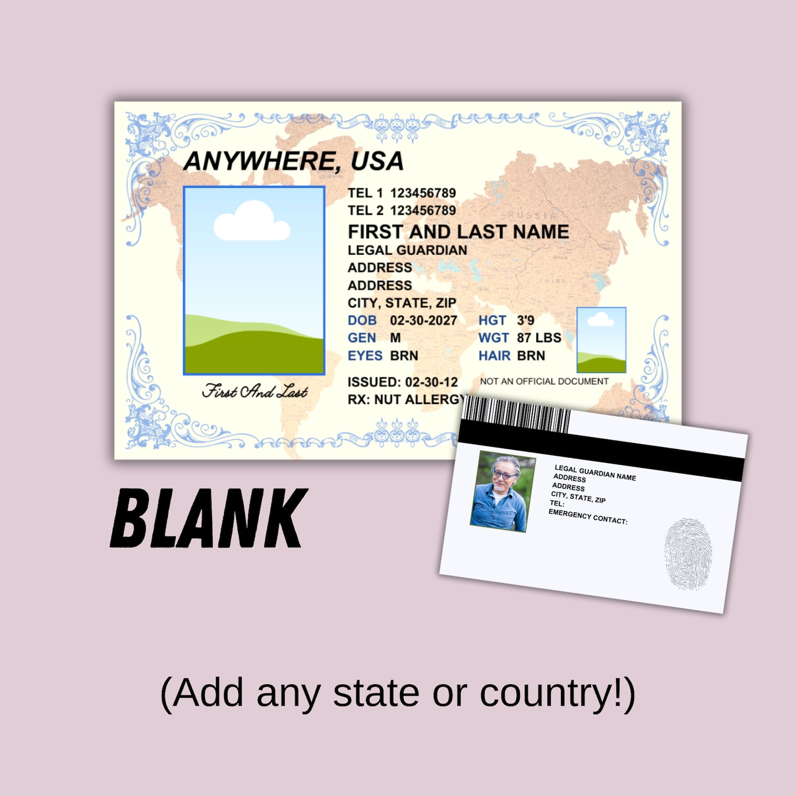 Child ID Card, Kid Id Card TEMPLATE for Child Safety, Custom DIY on ...