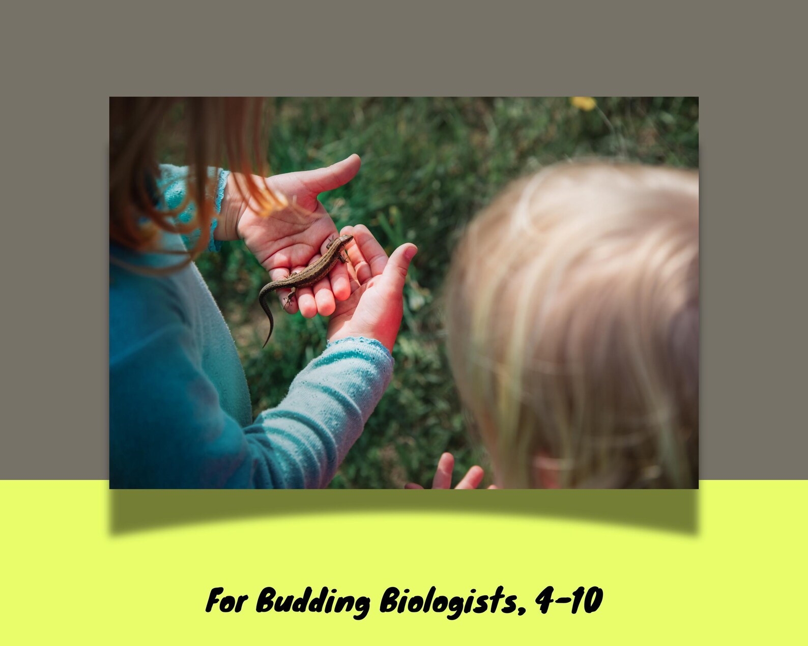 What's the Difference Between Similar Animals Presentation, Quiz, and ...