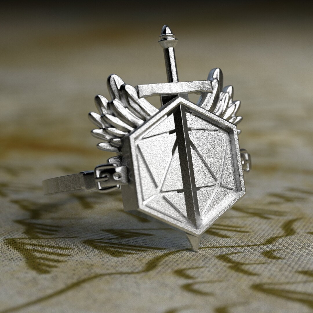 Dnd Paladin Character Class Ring for Dnd Wedding D20 Dnd Dice Ring for ...