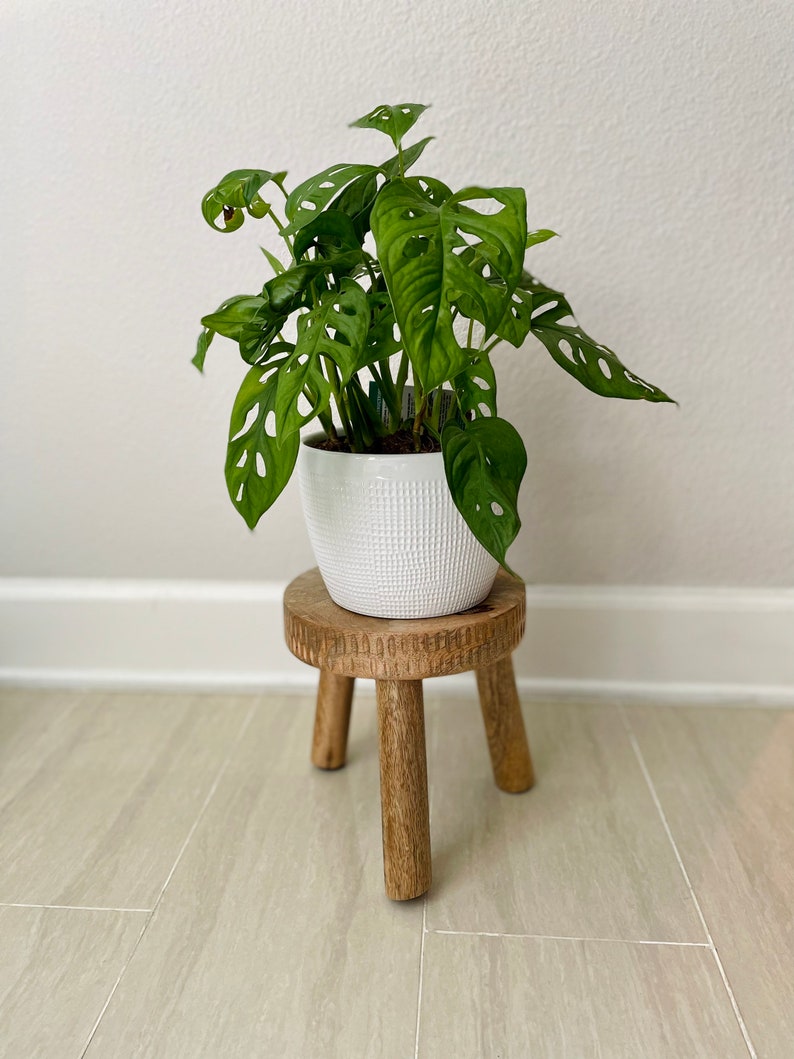 Hand Carved Mango Wood Plant Stand From India - Etsy