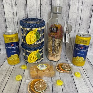 Sangria Cocktail Drink Kit, Wine Infuser Gift Box, Birthday Gift Basket ...