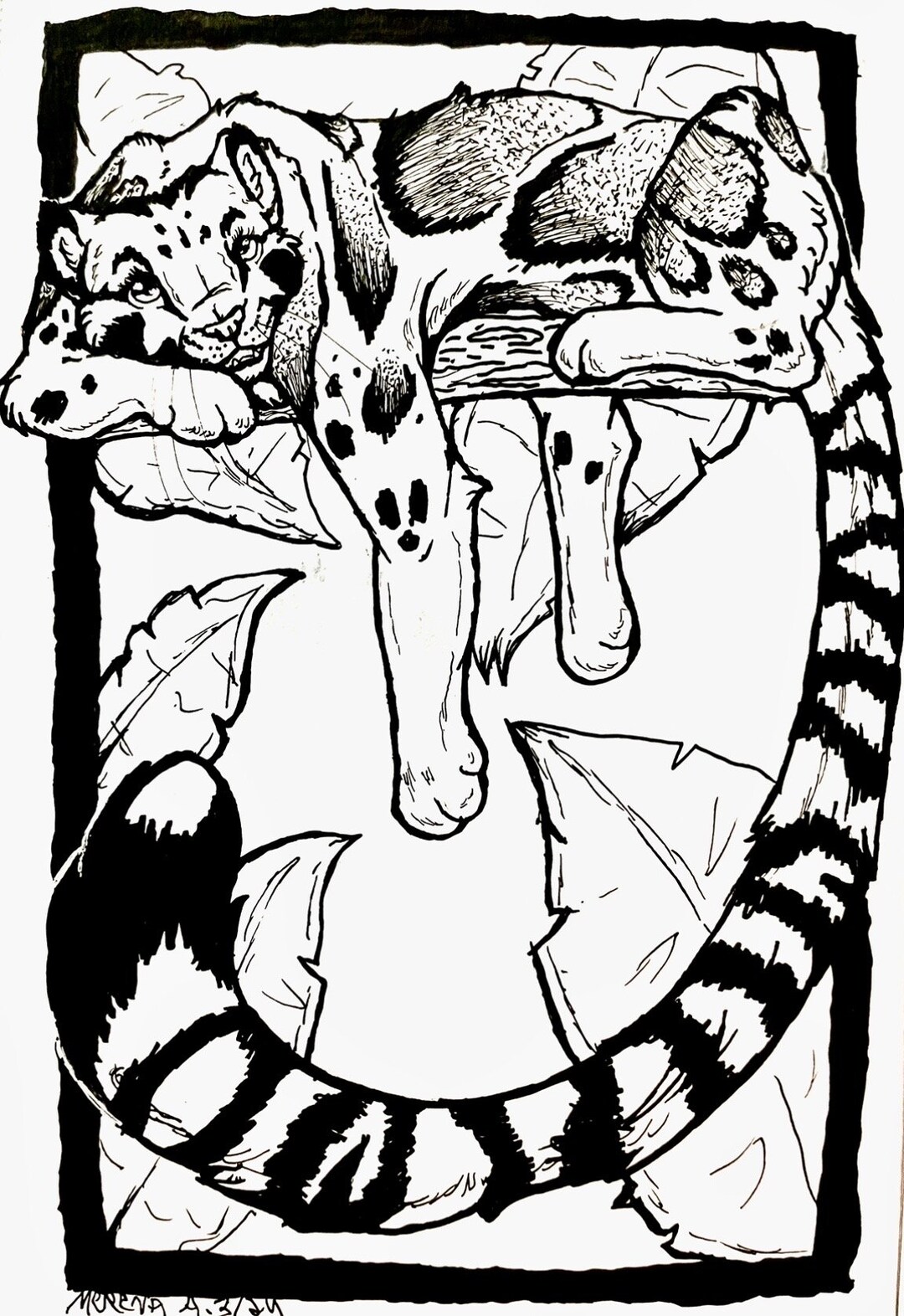 Clouded Leopard Furry Jungle Art Print. Cardstock 8x11 - Etsy