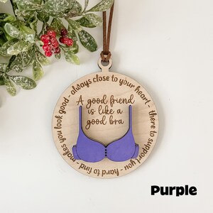Best Friend Bra Wood Ornament, Funny Friend Christmas Ornament ...