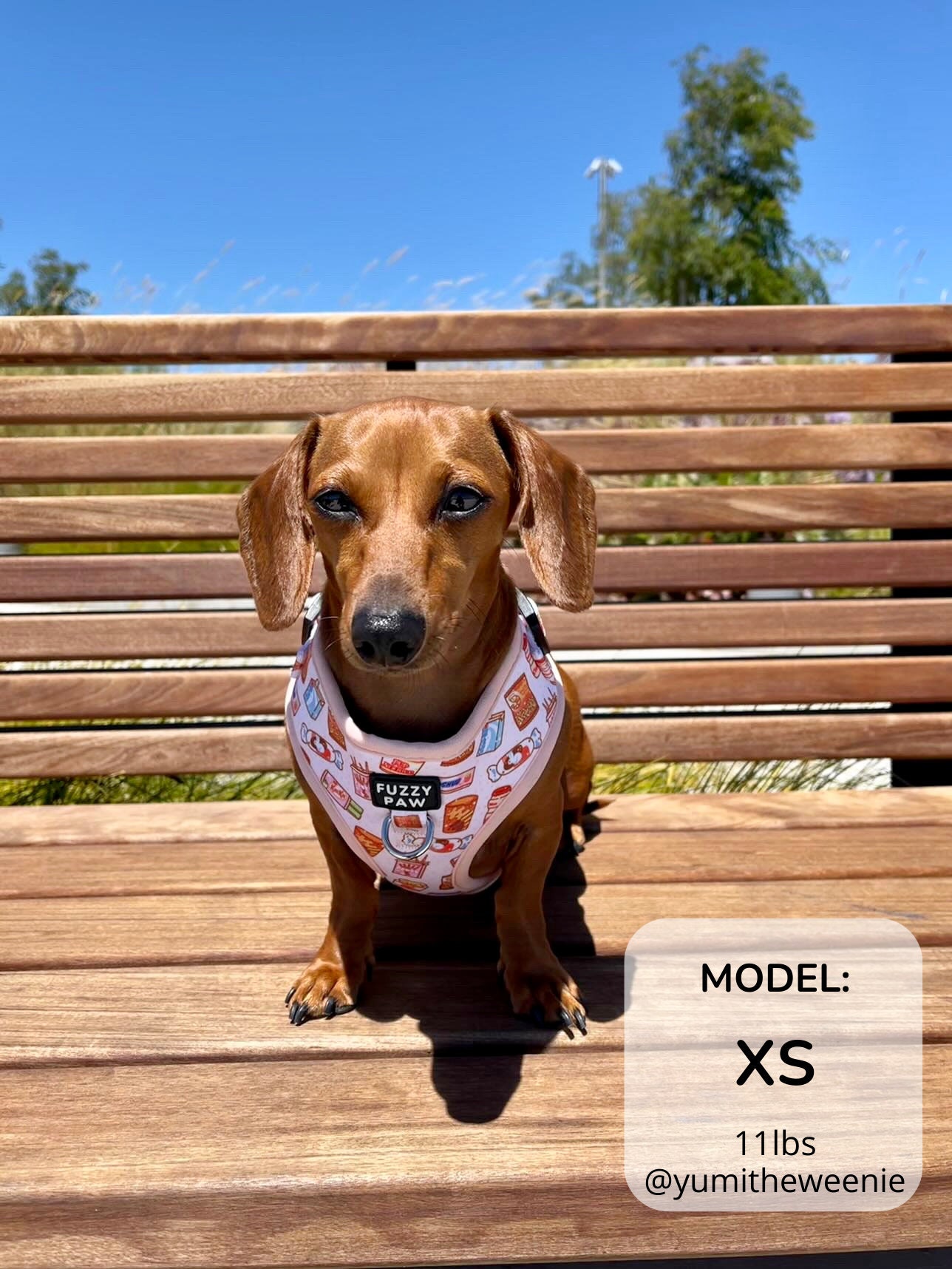 Basic Bundle Asian Snacks Dog Harness Bundle Set With Leash - Etsy