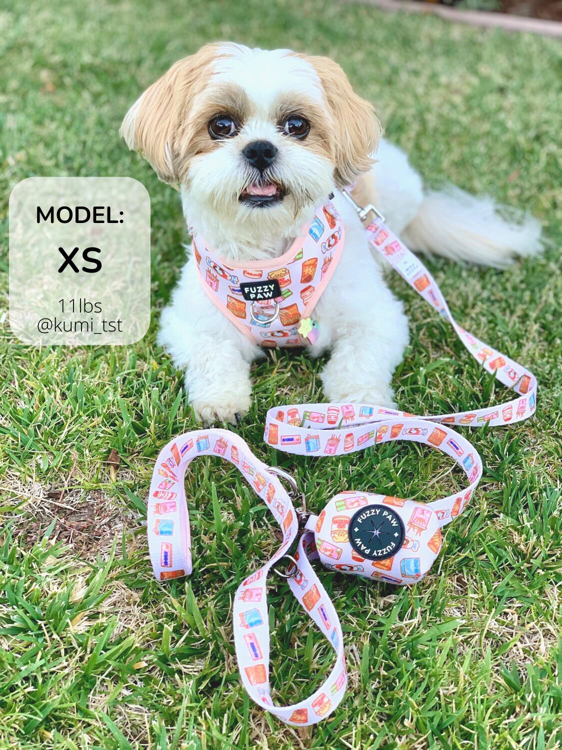 Basic Bundle Asian Snacks Dog Harness Bundle Set With Leash - Etsy