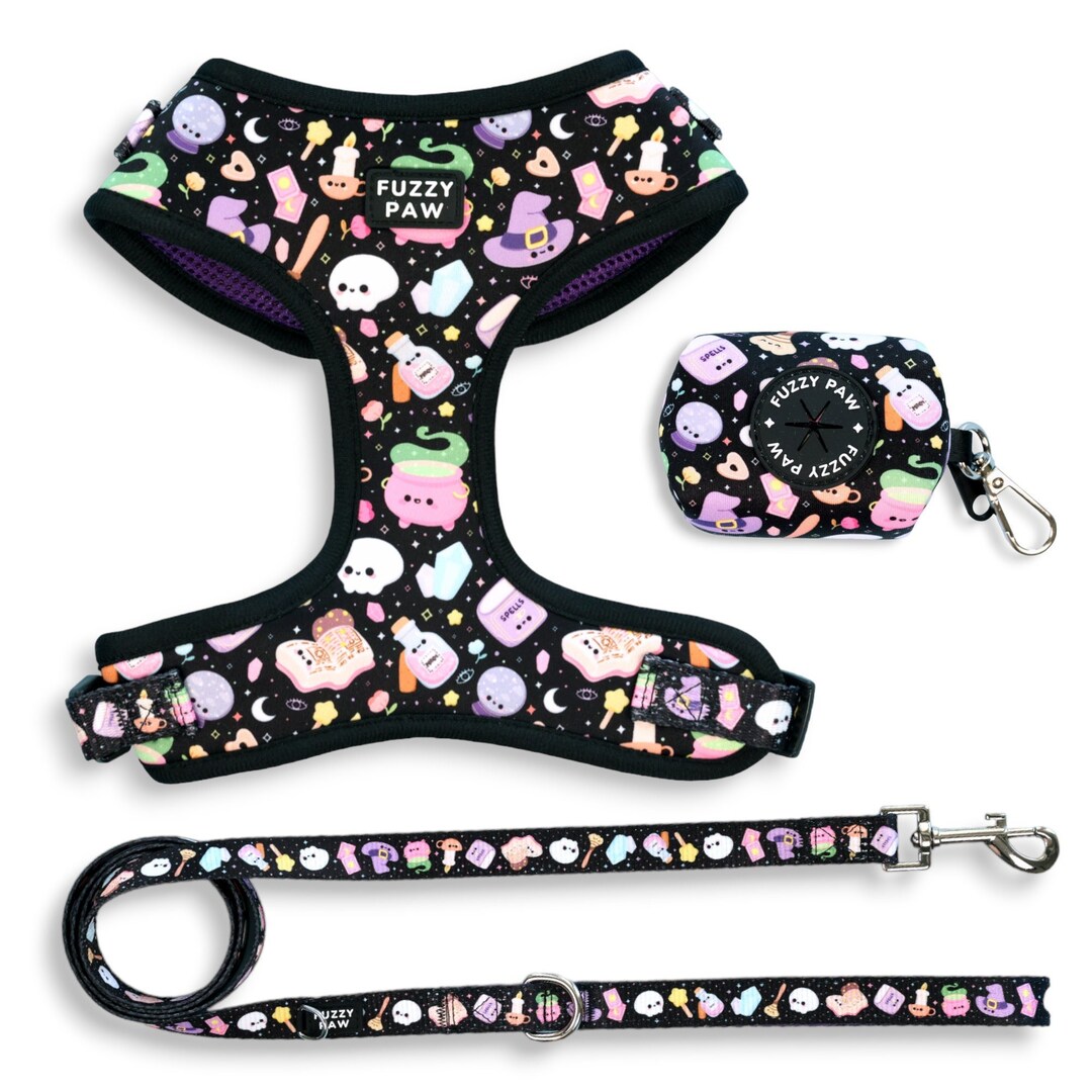 Walking Essentials Harness Bundle for Little Dogs- Bewitch, Cute Witch ...