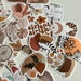 10-20 Random Beige Stickers Aesthetic Stickers Beige - Etsy UK