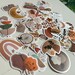 10-20 Random Beige Stickers Aesthetic Stickers Beige - Etsy UK