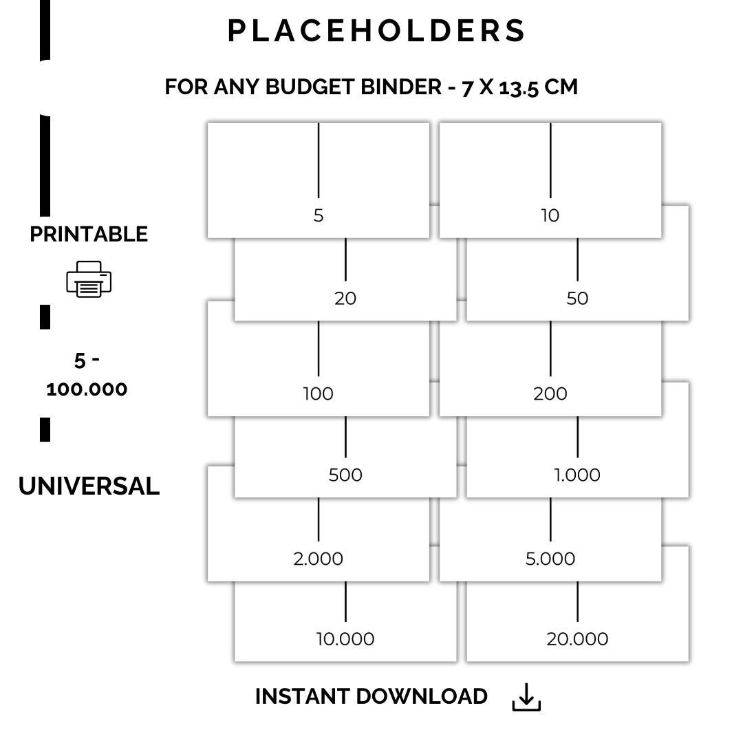 Printable Cash Placeholders for Savings, Budget Binder Cash Envelope ...