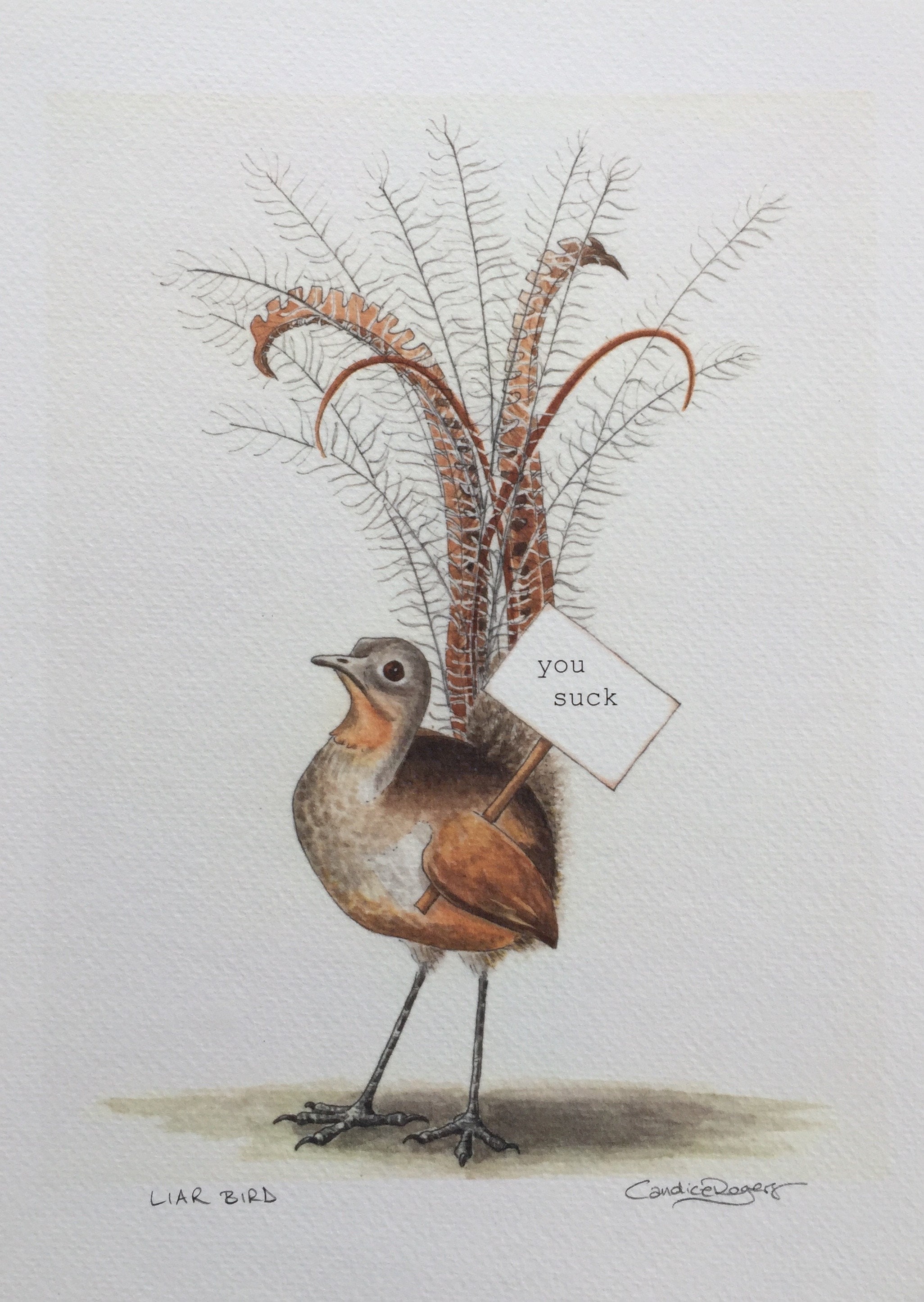 Liar Bird Quality A4 Print on 300gsm Paper - Etsy