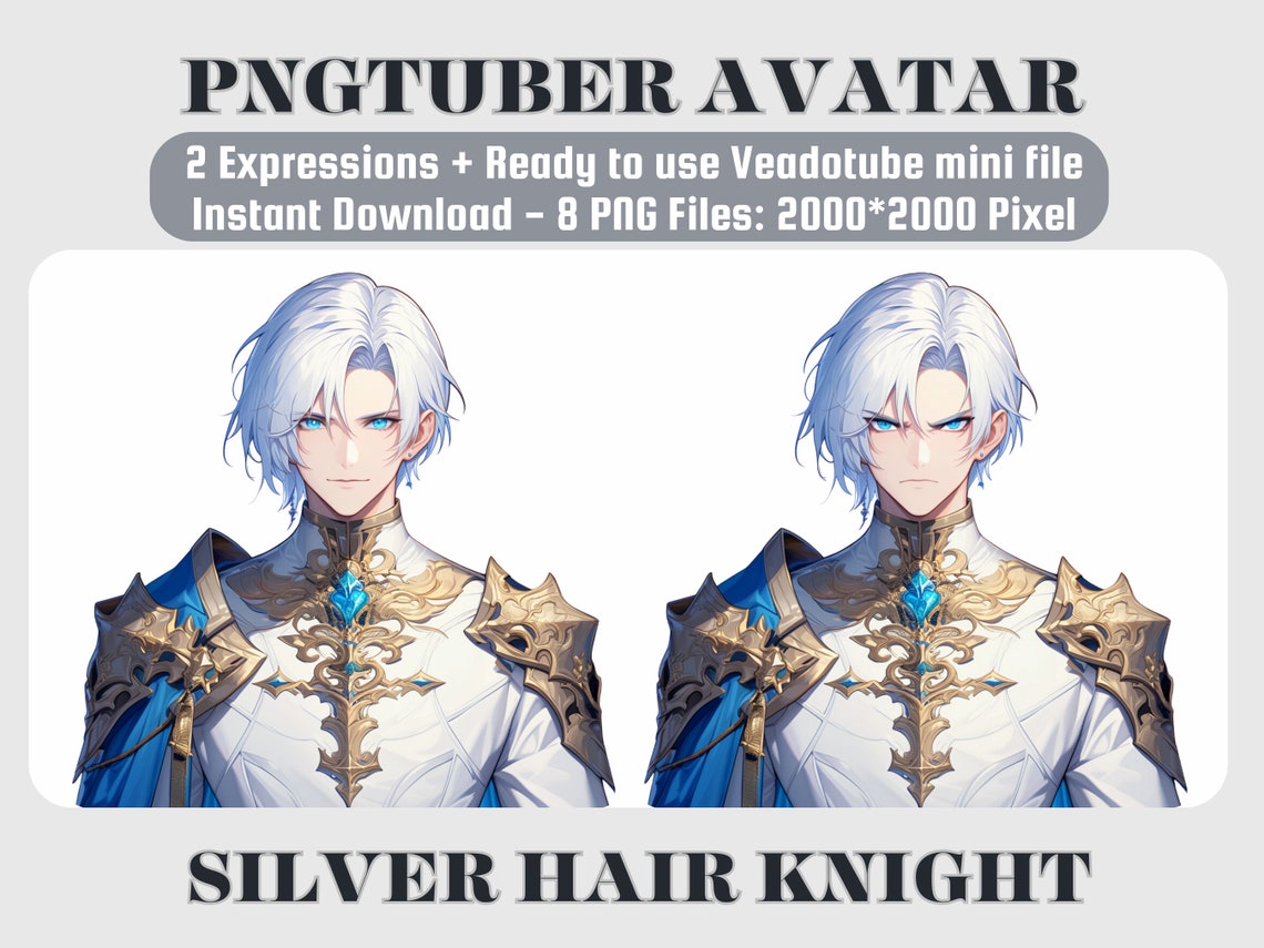Silver Hair Knight Pngtuber Male Model: Kawaii Anime Avatar - Etsy