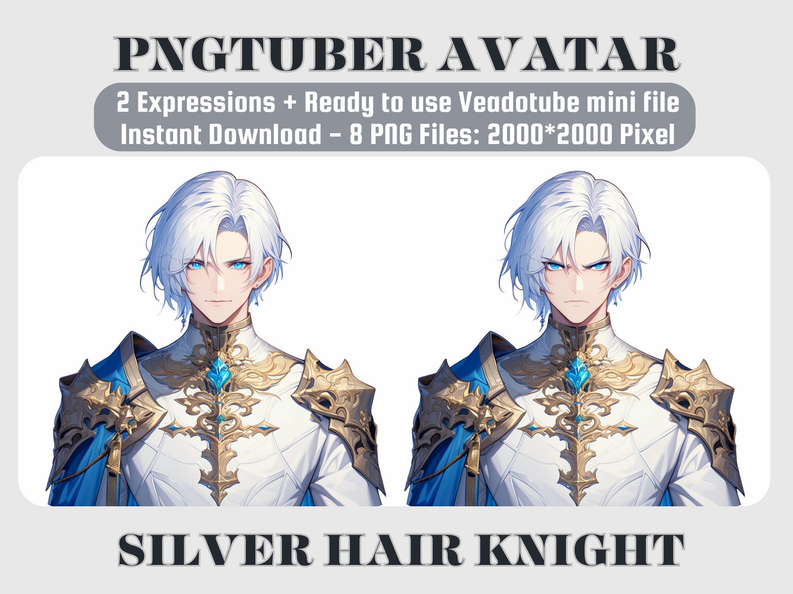 Silver Hair Knight Pngtuber Male Model: Kawaii Anime Avatar - Etsy