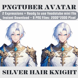 Pngtuber Male Model, Silver Hair Knight, Kawaii Png Tuber Avatar for ...
