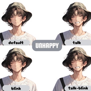 Pngtuber Male Model, Fuzzy Hair Man With Green Hat, Kawaii Png Tuber ...