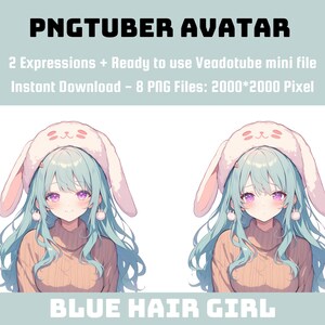 Pngtuber Girl Model Avatar Twitch OBS Stream Overlay Png Tuber Anime ...