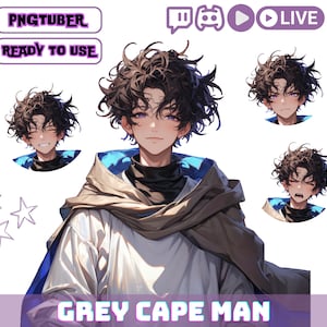 Pngtuber Male Model, Fuzzy Hair Man With Grey Cape, Kawaii Png Tuber ...