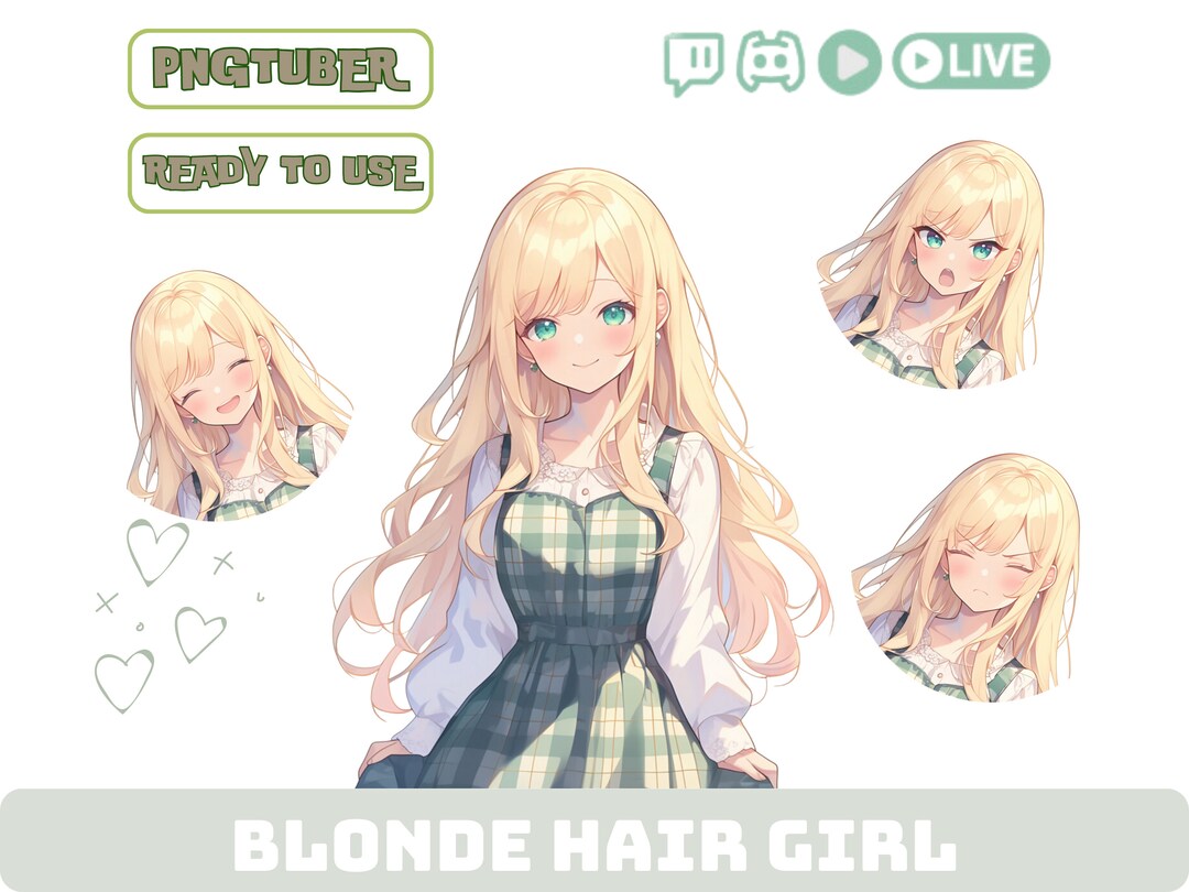 Pngtuber Girl Model Avatar Twitch Overlay OBS Stream Overlay Png Tuber ...