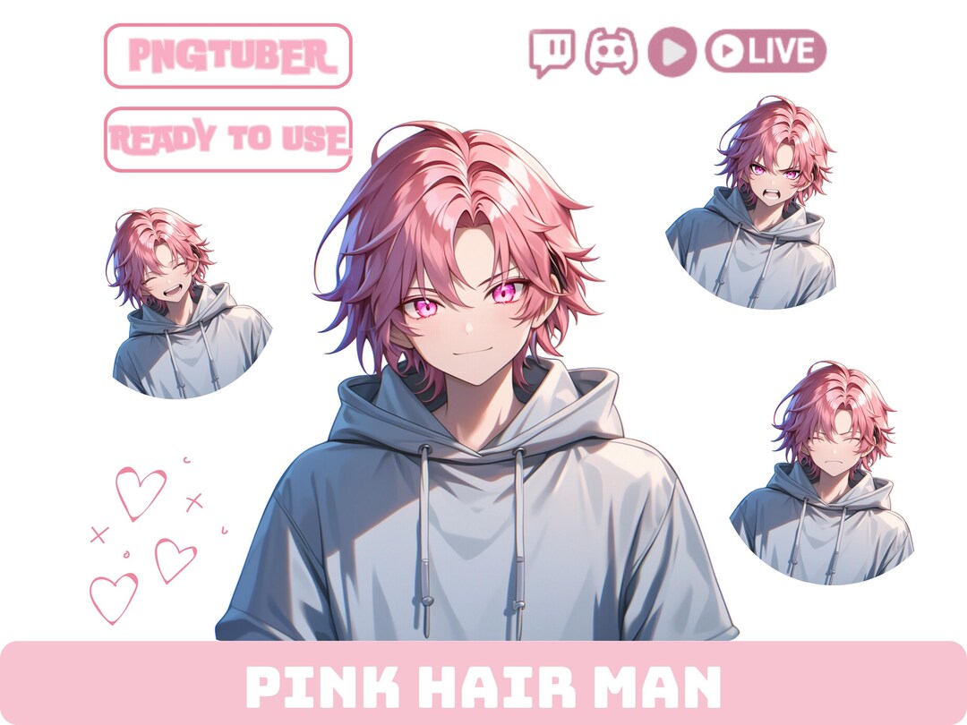 Pngtuber Male Model Avatar, Pink Hair Man in Grey Hoodie, Stream OBS ...