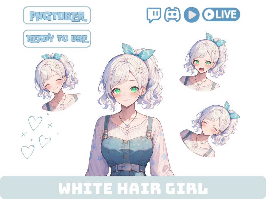 Pngtuber Girl Model Avatar Twitch Overlay OBS Stream Overlay Png Tuber ...