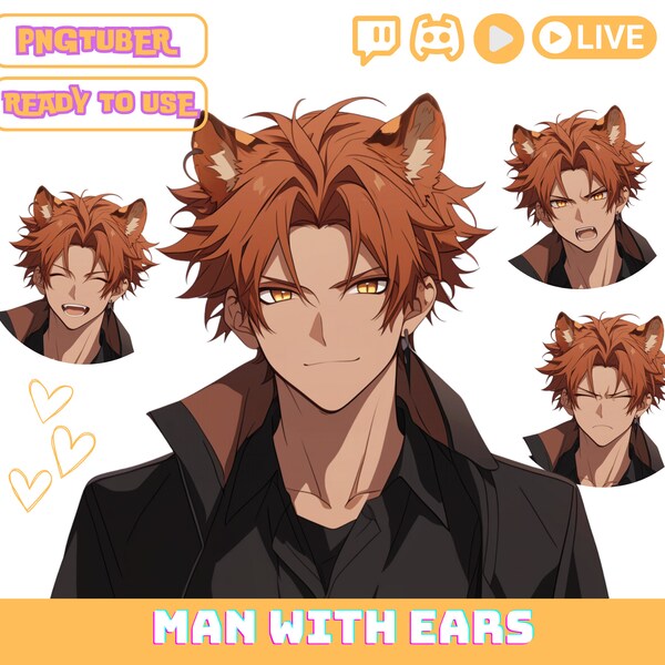 Vtuber Model Male Fox - Etsy
