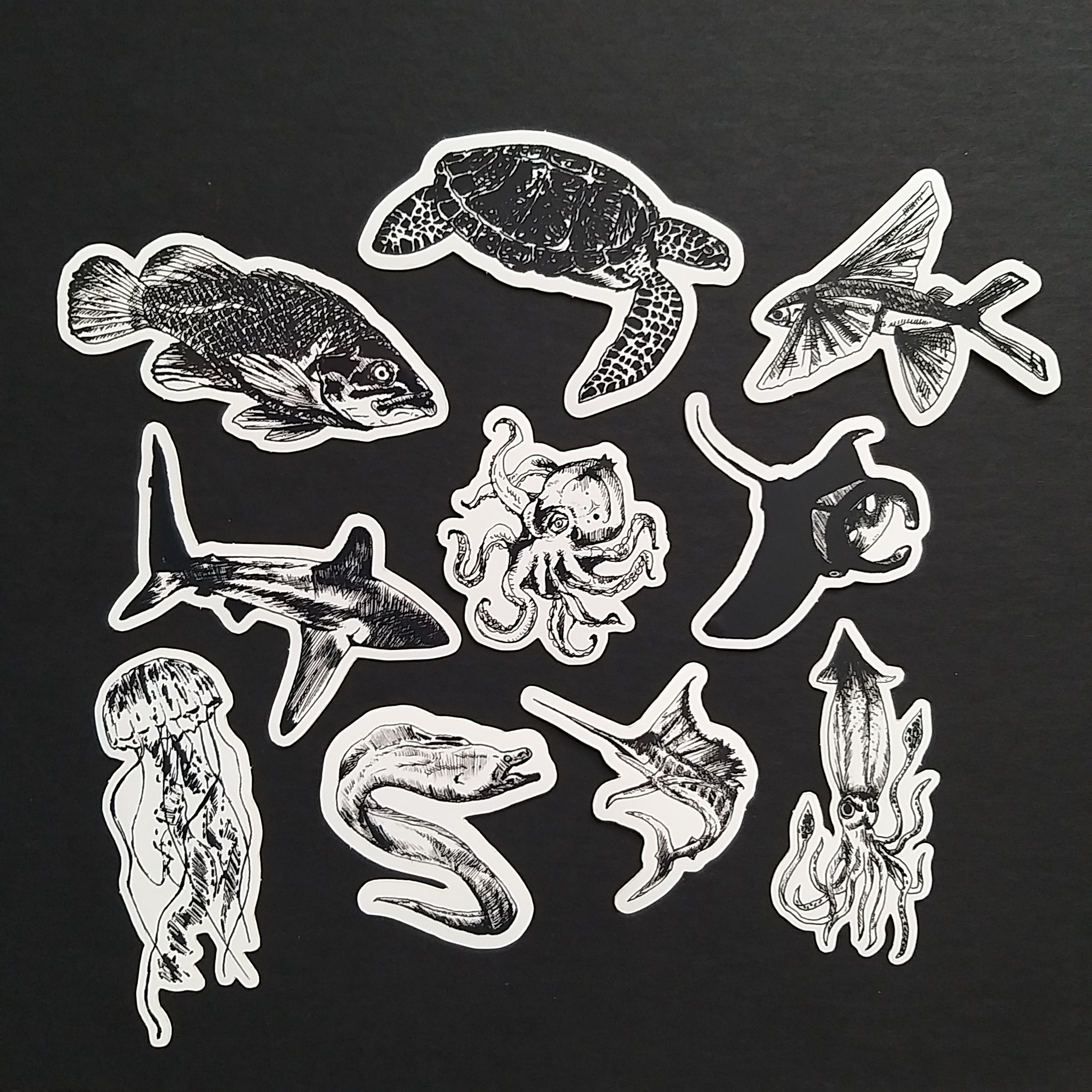 Ocean Stickers Set Marine Life Stickers Illustrated 10 Vinyl - Etsy UK