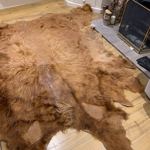 Cow Hide Rug - Etsy