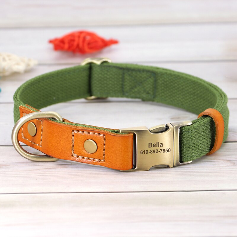 Green Dog Collar - Etsy