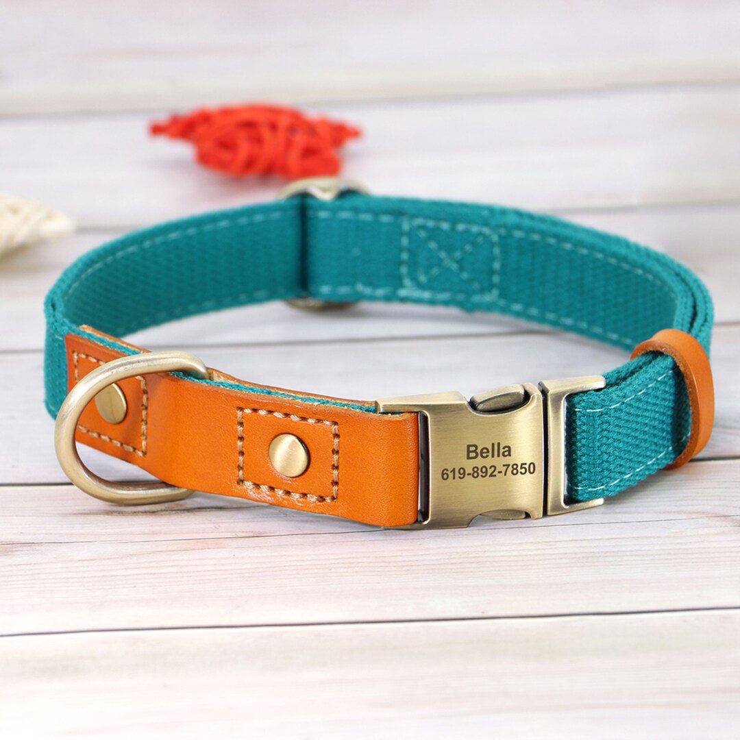 Turquoise Dog Collar & Leash Green Blue Engraved Dog Collar - Etsy