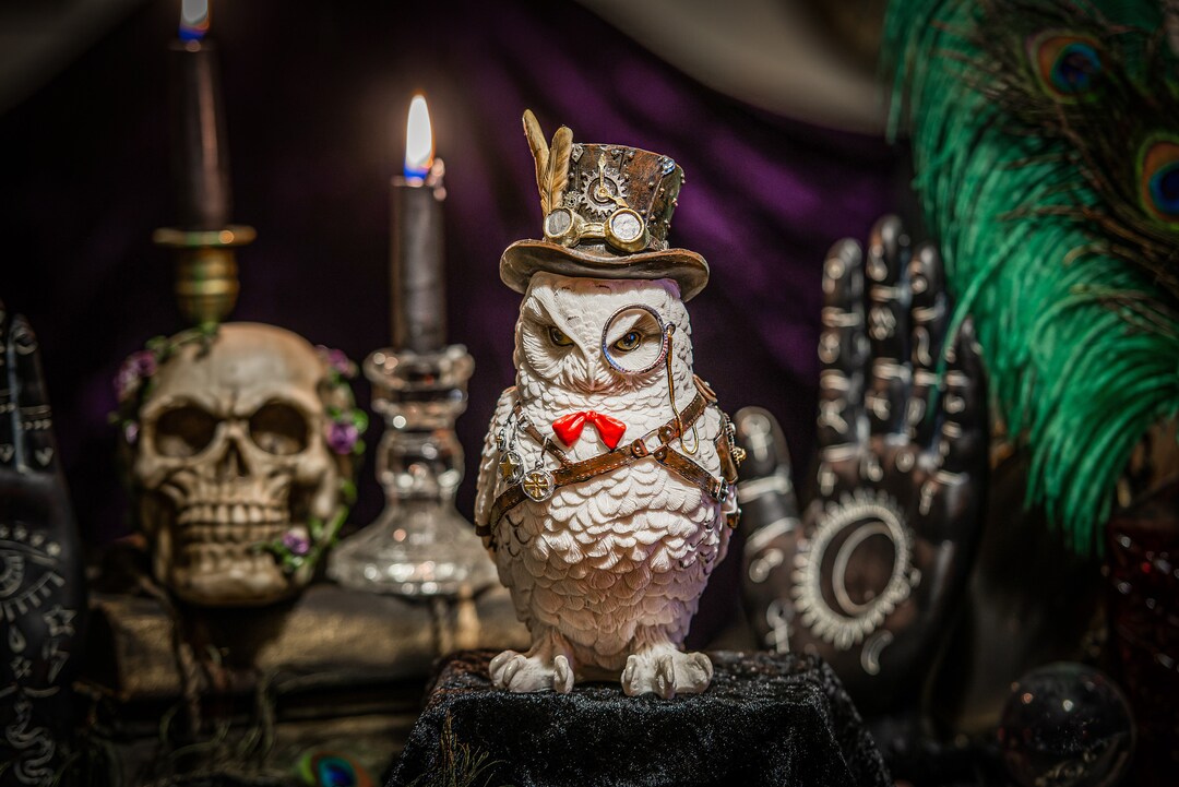 WEISSE Eule, weise Eule, Eule, Eule Geschenk, Eule, Halloween Eule ...