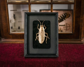 Gothic Insect Art - Etsy