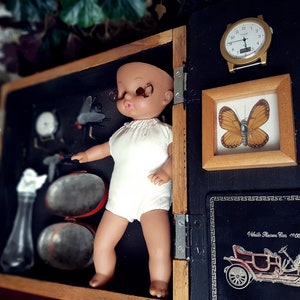 CABINET OF CURIOSITIES, Vintage Home Decor, Curiosities & Oddities ...