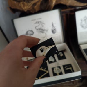 Vintage Educational Bird Bone Model, Vintage Educational Model, Bird ...