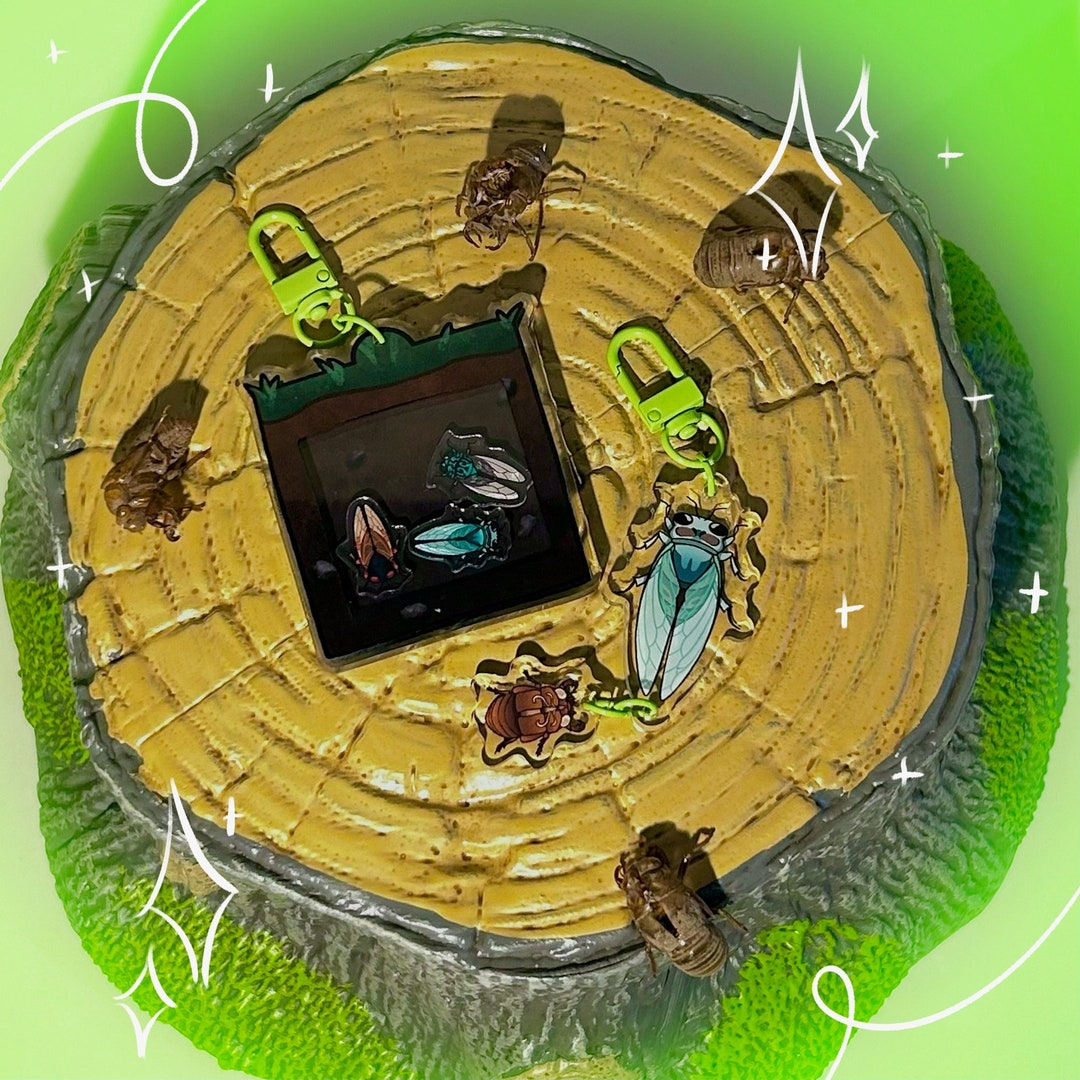 Cicada Bug Shaker and Hanging Keychains, Cicada Charms - Etsy