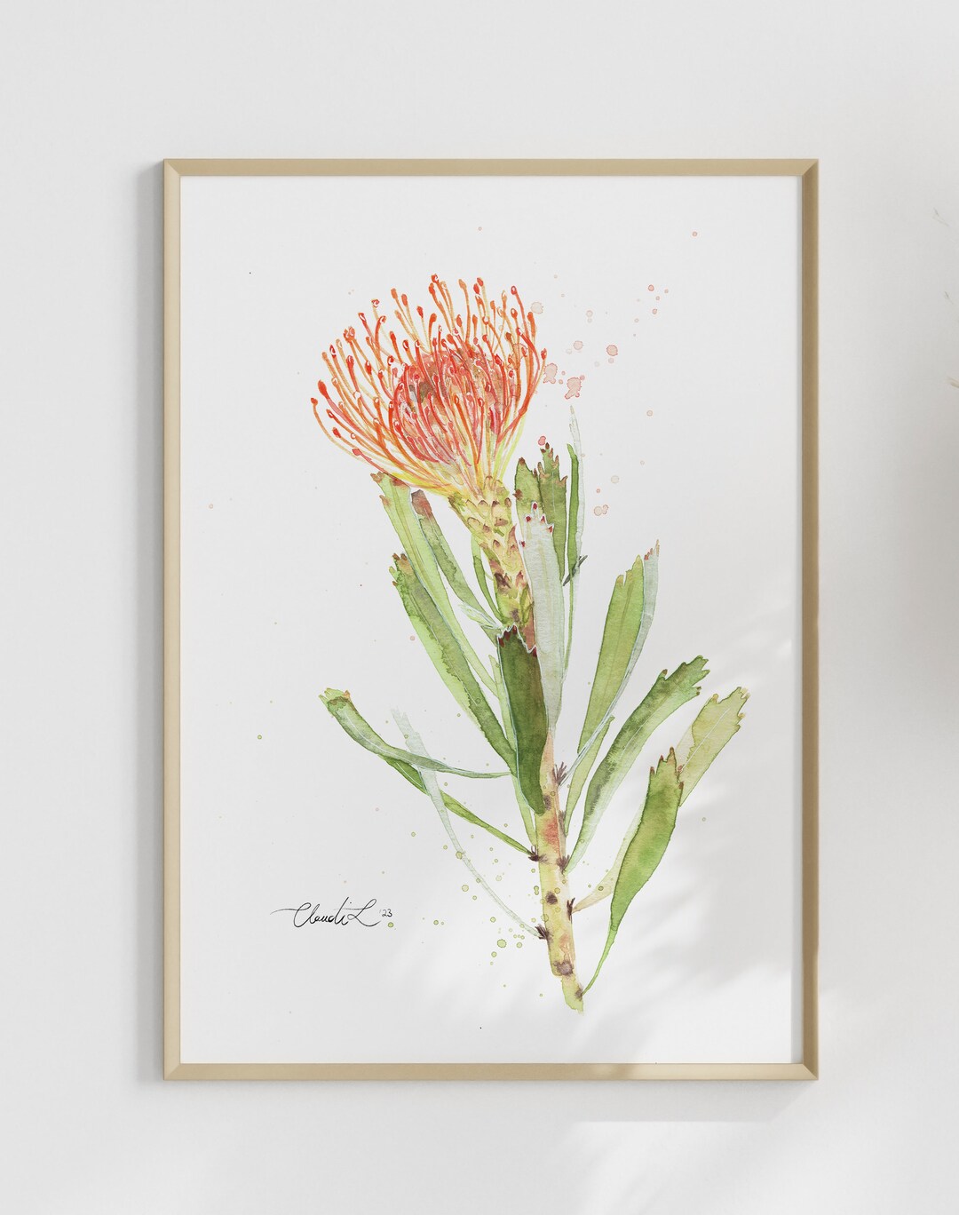 Fynbos Orange Pincushion Art Print - Etsy