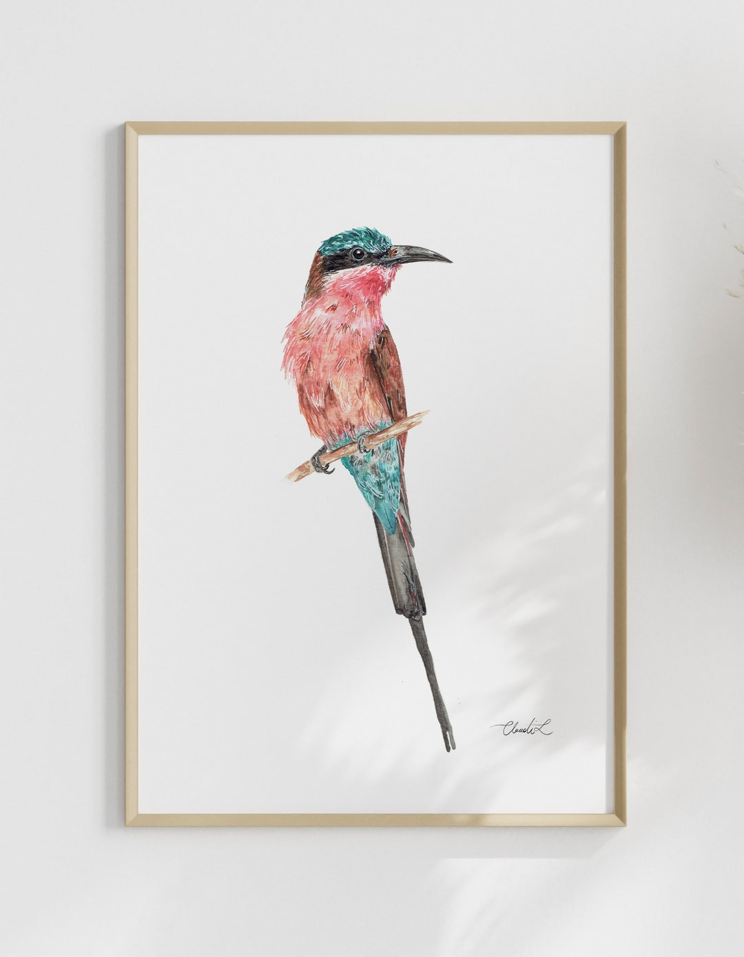 Watercolor Carmine Bee-eater Art Print - Etsy