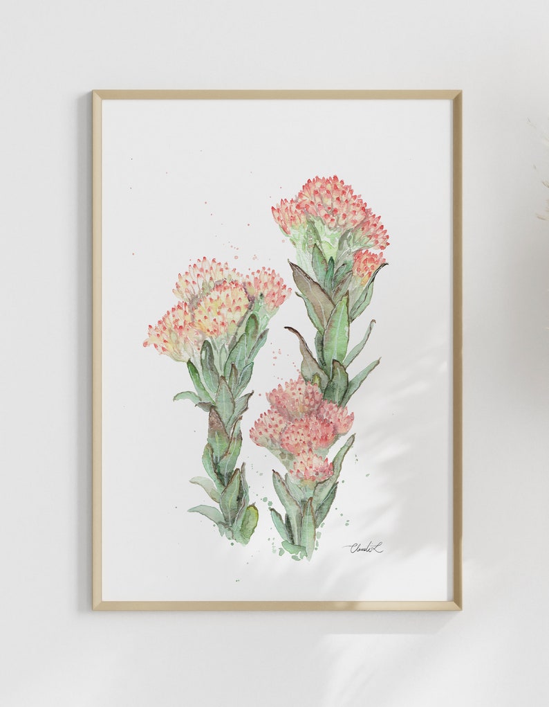 Fynbos Flowers Watercolor Art Print - Etsy