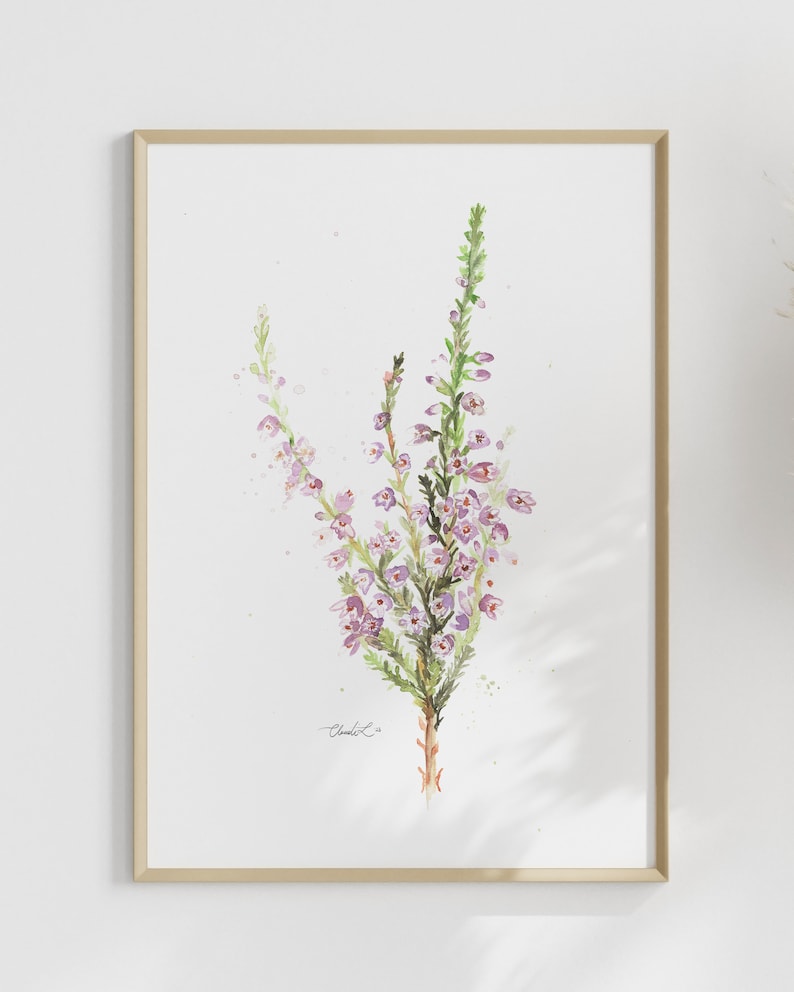 Watercolor Fynbos Erica Art Print - Etsy