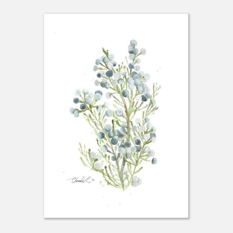 Floral Fynbos Watercolor Art Print - Etsy
