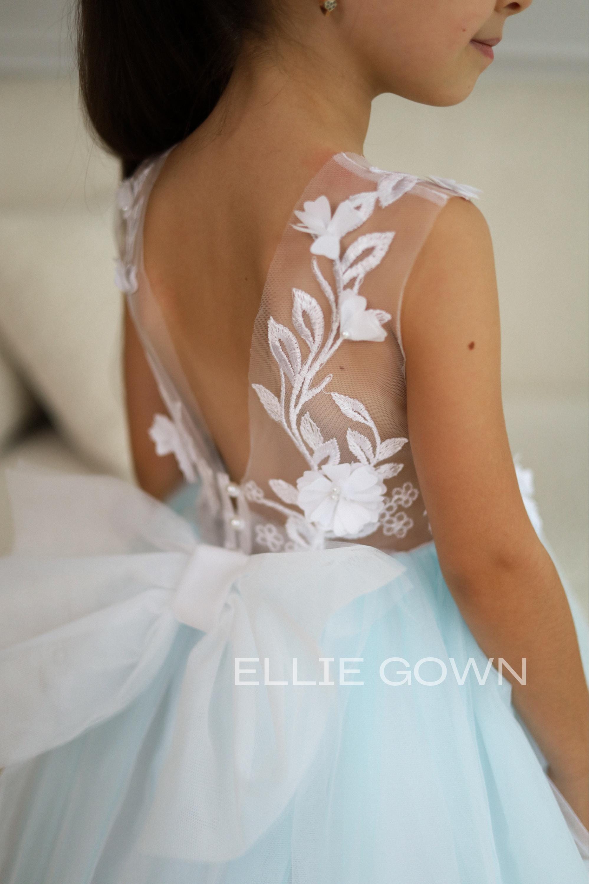 Light Blue Flower Girl Dress, White Flower Girl Dress, Puffy Baby Girl ...