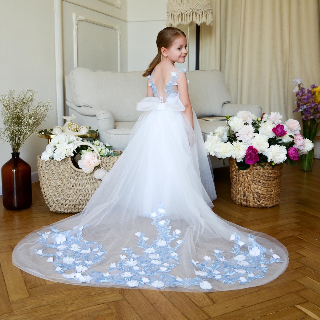 Charming Sky-blue Flower Girl Dress, Beautiful Flower Girl Dress With ...