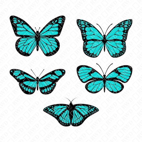 Butterfly Svg Butterfly Svg Bundle Butterfly Svg Layered | Etsy