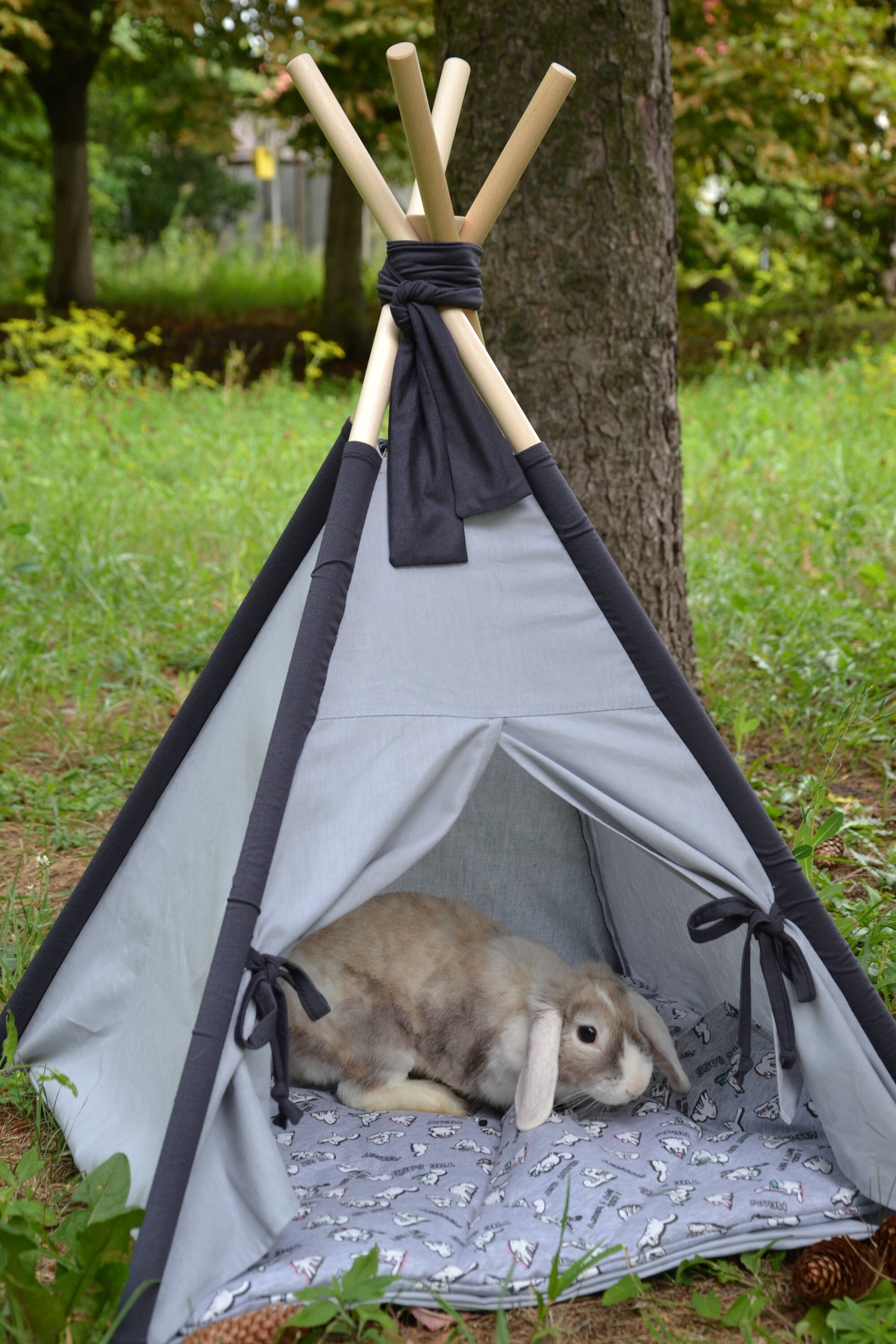 Cat Teepee and Dog Teepee From 100% Natural Fabric. Pet Teepee | Etsy